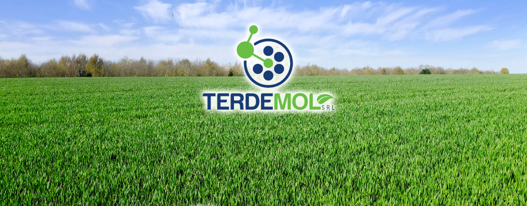 TERDEMOL S.R.L. – Terminal de Molienda S.R.L.